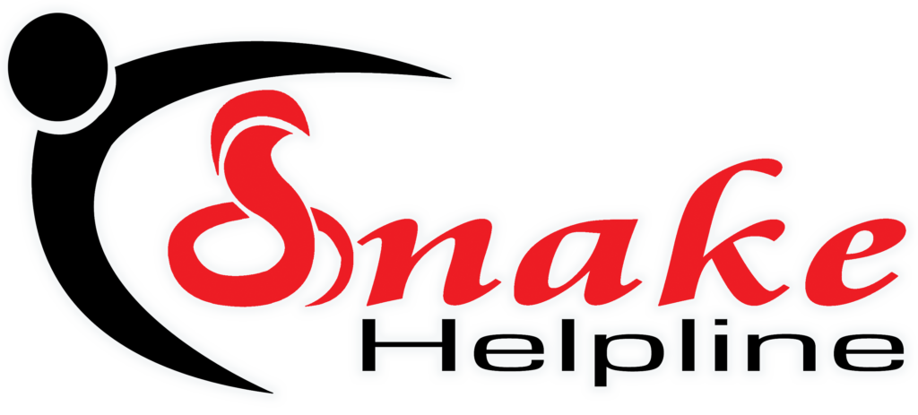 Common Krait ଚିତି - Snake Helpline