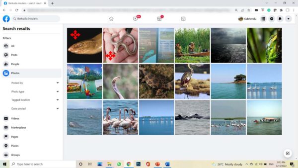 Barkudia insularis Extremely Rare Lizard - Snake Helpline