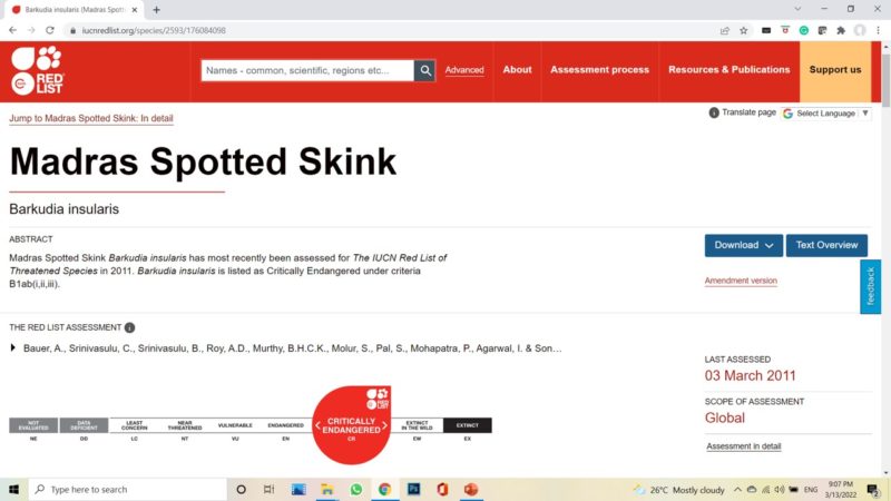 Barkudia insularis Extremely Rare Lizard - Snake Helpline