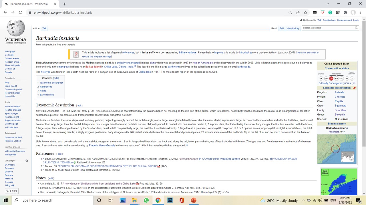 Barkudia insularis Extremely Rare Lizard - Snake Helpline